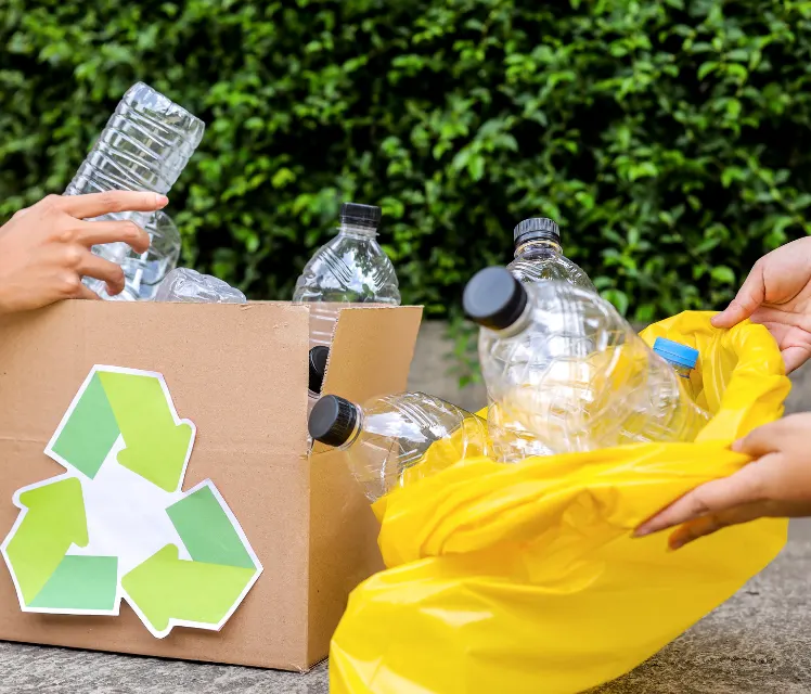 Recycling Solutions in Cardiff: A Step Towards a Greener Future!